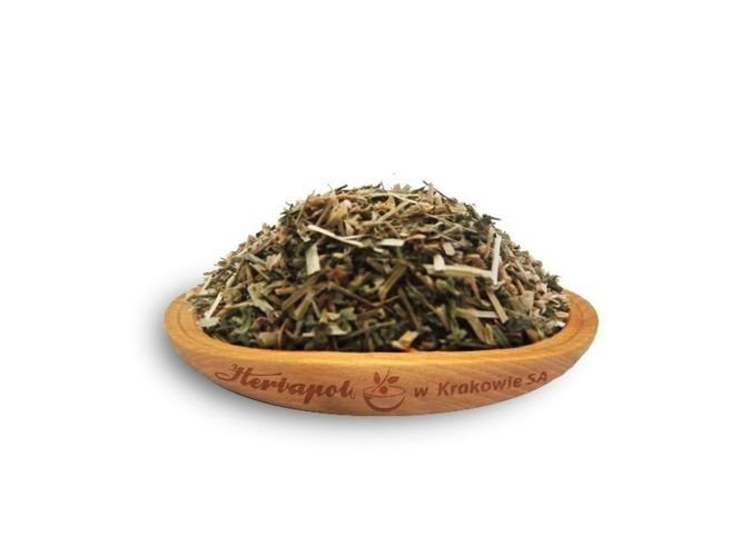 KOPER WŁOSKI Owoc 50g - opinie, działanie, skład - Herbapol Kraków - i ...